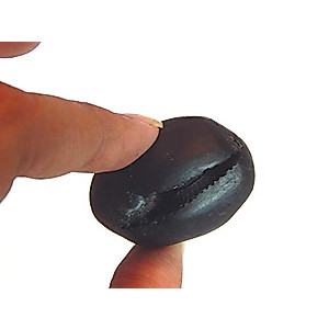 phoenix888 Adwaitya ChakraDhari Maha Vishnu Shaligram Nepal Kali Gandaki