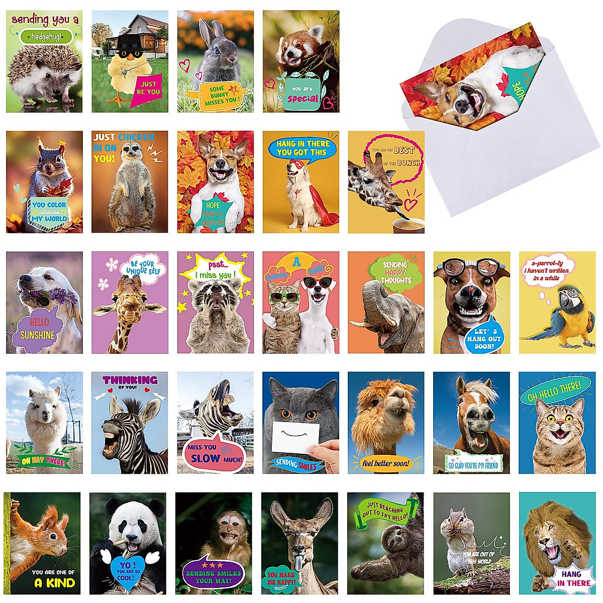 Panelee 60 Set Funny Greeting Cards Set with Envelopes Gratitude Blank Boxed Animal Note Cards Funny Affirmation Cards Appreciation Thank You Postcards for Employee Friends Business Coworker