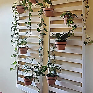 Plant Holder Ring 6 Inch Wall Mounted, 6 Pack Flower Pot Hangers Metal Plant Stand Hanging Bracket Basket Hooks