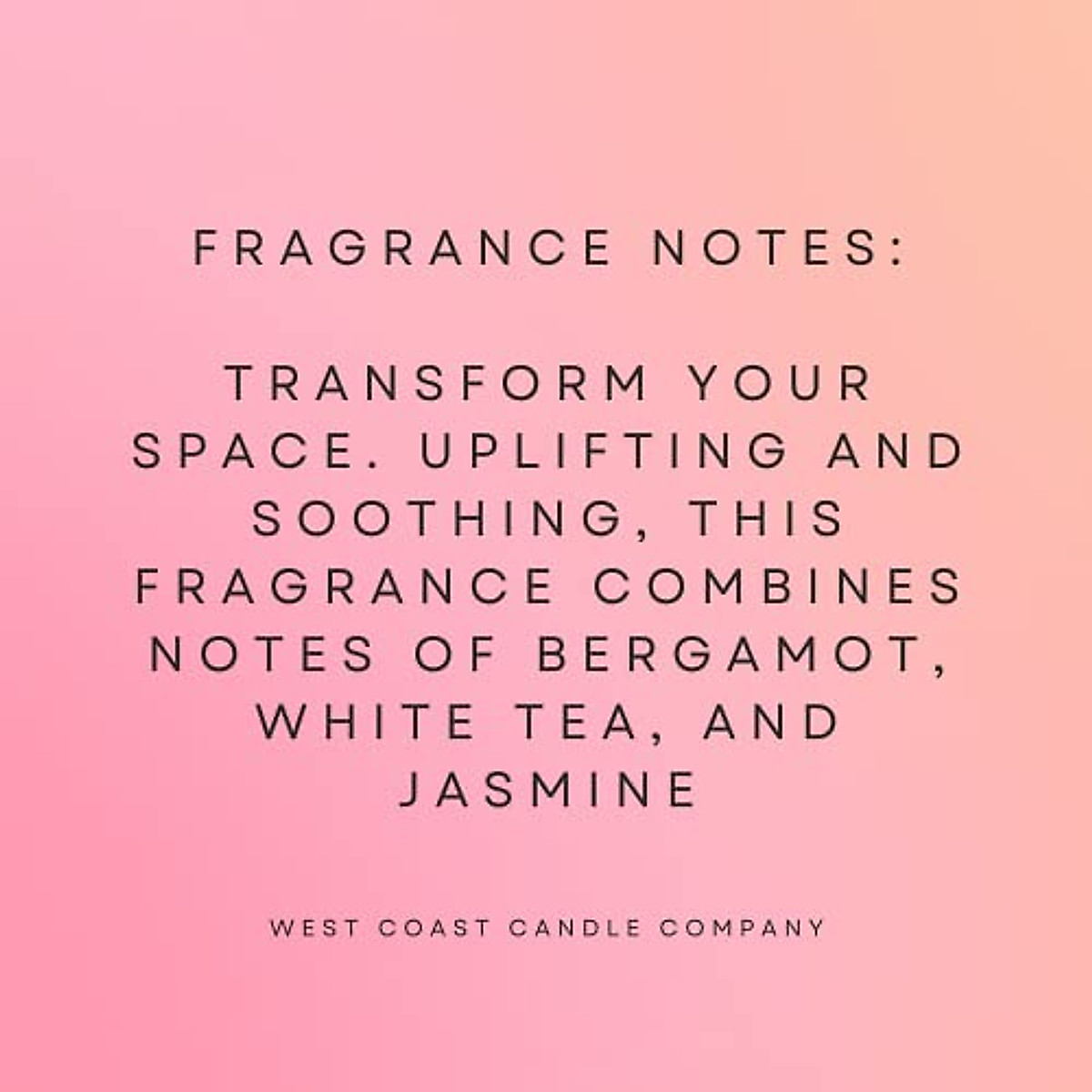 Mini Pet Friendly Mini Candle | Pet Safe Candle | All Natural Candle | Non-Toxic Candle | Pet Odor Eliminator | Pure Soy Candle | Dog & Cat Safe Candle | 2 oz (Bergamot Sunrise)