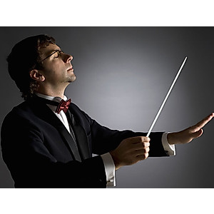 Music Conducting Baton Orchestra Baton Rosewood Handle Baton with Wooden gift box Conducting Baton(Rosewood Baton+Wooden Box)