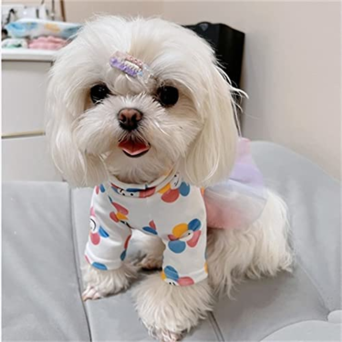 Pet Dress Cat Dog Tiered Layer Tutu Tulle Dogs Birthday Party Dresses Sweet Print Sweater Tulle Skirt Outfit Princess Girl Dog Clothes for Small Dogs