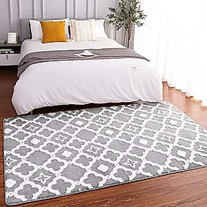 junovo Super Soft Shaggy Area Rugs for Bedroom Living Room, Modern Furry Rug Indoor Plush Carpet for Kids Girls Teens Room, Large Grey Runner Rug Fuzzy Nursery Rug for Dorm Room Home Decor, 4 x 6 Feet