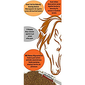 LMF Feeds Digest 911" 5 lb prebiotic and probiotic Supplement for Horses ruminants and Pets