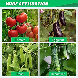 DoCred 3 Pack Tomato Cage, Plant Supports Garden Stakes, Up to 49IN Multi-Functional Garden Trellis Stakes for Climbing Plants Vegetables Flowers