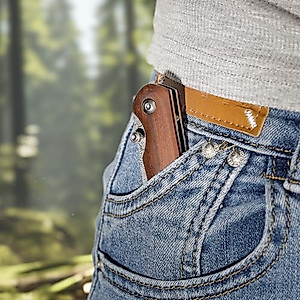 BARRYSAIL Damascus Small Pocket Knife, Folding Knife with 2.4 Inch Blade, Liner Lock, Wood Handle for EDC, Outdoor Camping, Survival