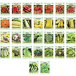 Set of 30 Vegetable and Herb Seeds - Semi Assorted - 100% Non-GMO & Heirloom - Great for Starting a Garden! High Germination Rate! (30)