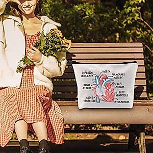PWHAOO Anatomy Human Heart Cardiologists Doctor Anatomical Medical Cosmetic Bag Nursing Student Gift (AORTA PULMONARY ARTERY B)