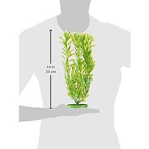 Marina Aquascaper Fish Tank Decorations, Hygrophila Plant, 15-Inch
