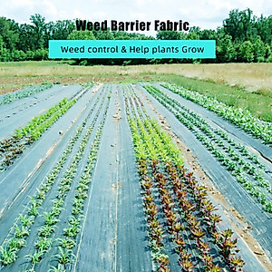 Broadfashion 01 Weed Barrier Landscape Fabric Heavy, Black