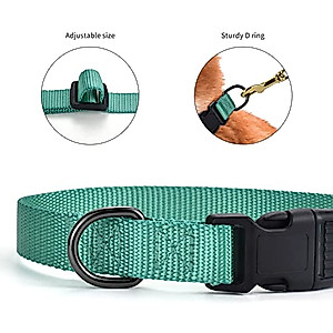 AUDWUD Thick Nylon Collar,Classic Adjustable Dog Collar in Multiple Colors,Suitable for Small, Medium and Large Dogs,4 Sizes