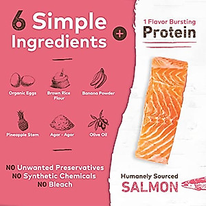 EARTH ANIMAL No Hide Stix Salmon Flavored Natural Rawhide Free Dog Chews Long Lasting Dog Chew Sticks | Dog Treats for Small Dogs and Cats | Great Dog Chews for Aggressive Chewers (3 Pack)