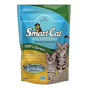 SmartCat All Natural Clumping Litter, 20-Pound (6506), (Pack of 1), 320 Ounce.