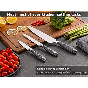 WELLSTAR Pro-Grade 3-Piece Chef Knife Set - Razor-Sharp High-Carbon Steel for Culinary Mastery at Home or Pro Kitchens