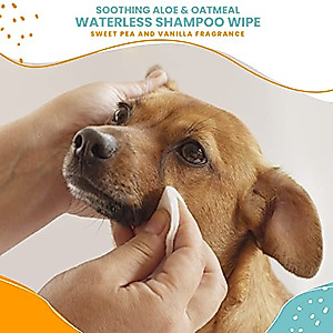 Nootie Waterless Shampoo Wipes For Dogs & Cats-Long Lasting Fragrances-Sold In Over 3000 Vet Clinics-Made In U.S.A. 70 Count