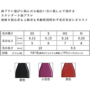 艶白 Soft Compact Toothbrush for Adults & Teenagers, Slim Head End Rounded BPA Free Bristles, Made in Japan, Pack of 4, Assorted