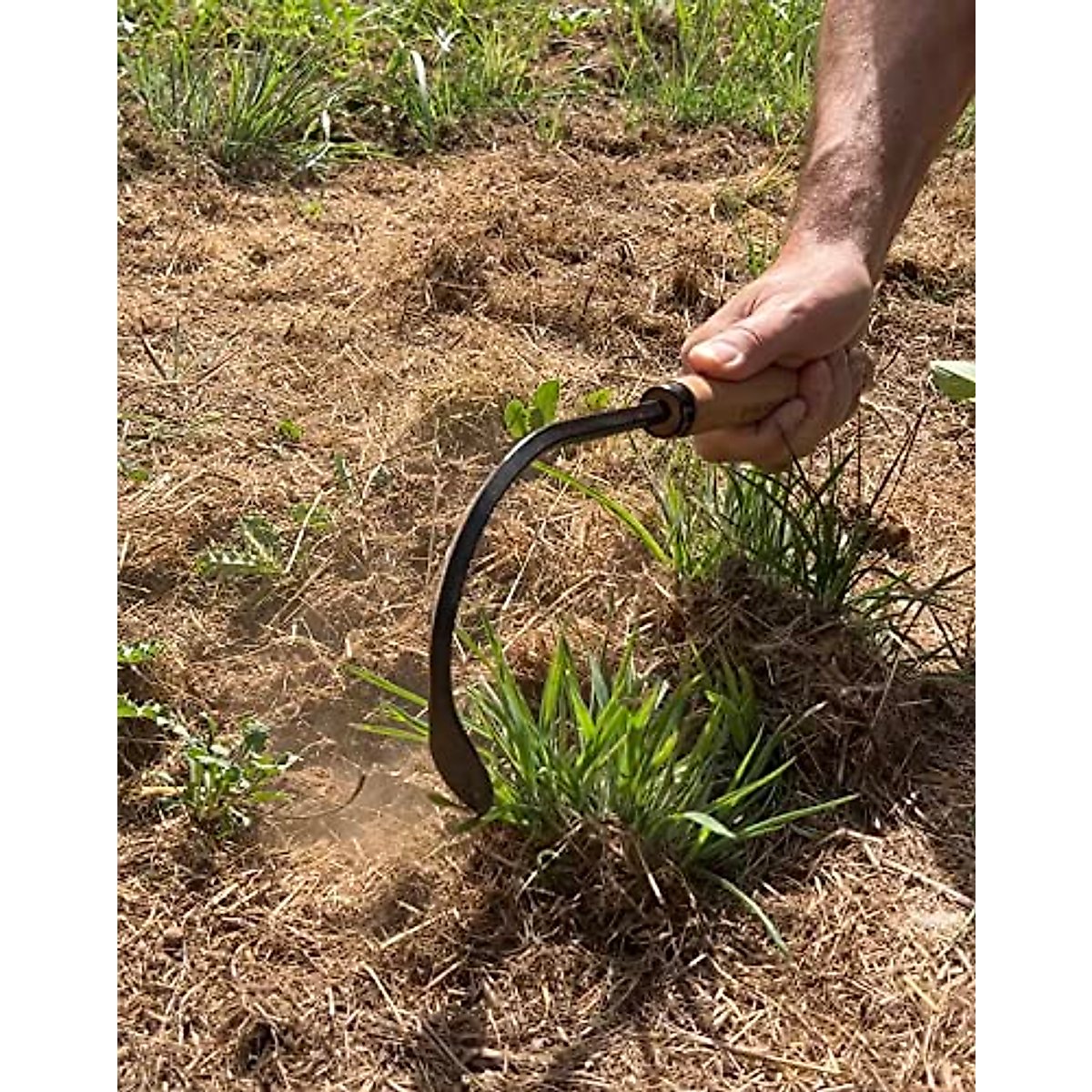 Grampa's Garden Hook - Weed Puller & Hand Cultivator Tool - Simple Design for Weeding, Digging, Edging & Planting - Lightweight & Durable Easy to Use Weeding Tool