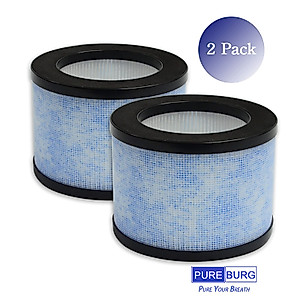 PUREBURG TZ-K1 True HEPA Replacement Filter Compatible with ToLife TZ-K1,Intelabe EP1080, AROEVE MK01 MK06,Kloudi DH-JH01, POMORON MJ001H & FreAire HAP601 Air Purifiers,2-Pack