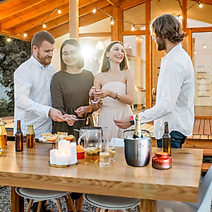 ELITRA Home Stainless Steel Ice Bucket & Wine Chiller with Tongs & Lid - Double Wall Insulated, 3 Liter - Silver