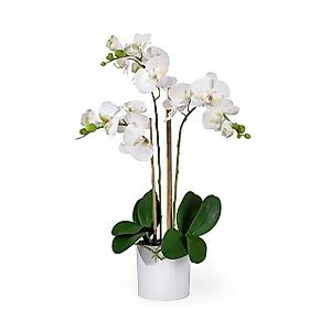 Serene Spaces Living 3 White Realistic Phalaenopsis Orchids in Pot, Artificial Potted Flowers - Beautiful Entryway Vase, Foyer Table Décor, Measures 26" Tall & 5" Diameter