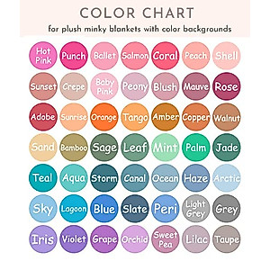 PUBSOOUP Personalized Baby Blankets, Baby Blankets for Girls and Boys with Name Flannel Plush Baby Customized Blanket Personalized Gifts for Kids(40"x30"inch)