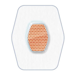 Nexcare Max Hold Waterproof Bandages, Stays On for 48 Hours, Flexible Bandages for Fingers, Knees and Heels - 40 Pack Clear Waterproof Bandages