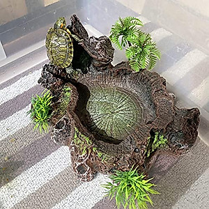 DOHAOOE Reptile Tank Accessories Habitat Water Dish Tree Trunk and Artificial Arched Rock Bridge for Bearded Dragon Leopard Gecko Lizard Snake Chameleon Hermit Crab Ball Python Water Frog Turtle