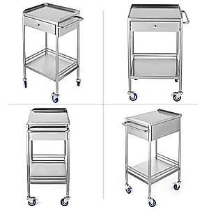 2 Layers Cart Trolley,Stainless Steel Medical Carts with Wheels,2 Layers Household Utility Carts with Drawers, Spa Esthetician Cart Rolling Lab Cart w/Wheels