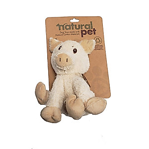 KTR Group Inc. Natural Pet 6 inch Dog Toy Assorted Variety