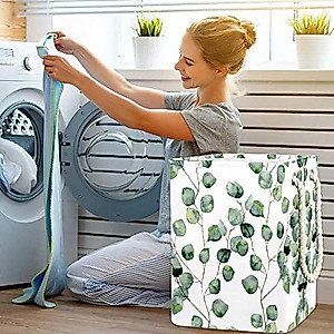 MAPOLO Laundry Basket Eucalyptus Leaves Pattern Foldable Laundry Hamper with Handles Detachable Brackets Well-Holding Waterproof for Clothes Toys Organization in Laundry Room Bedroom Bathroom