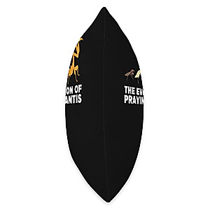 Praying Mantis Costume Insect Lover Bug Mantises Insect The Evolution of A Praying Mantis Throw Pillow, 16x16, Multicolor