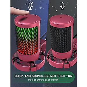 FIFINE AmpliGame PC Gaming Streaming USB Microphone, RGB Desktop Microphone for Computer/Mac/PS4/PS5, Podcast, Recording, TikTok, Game Chat, Condenser Mic with Pop Filter, Shock Mount - Red