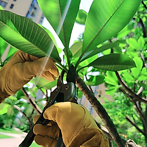 KINDE Gardening Gloves - Thorn Proof Cowhide Leather Rose/Blackberry Pruning Long Forearm Protection Gauntlet, Work Garden Gloves (YELLOW, Medium)