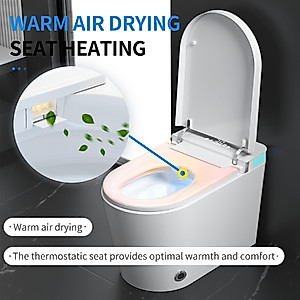 Elongated Smart Toilet with Bidet Built in, with Heated Seat，Adjustable Warm Water Washing and Air Drying, Foot Sensor,Remote and Voice Control One Piece Toilet Bidet for Bathrooms
