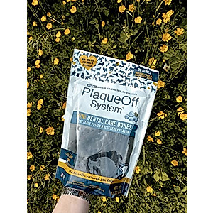 Proden Plaque Off Mini Dental Bones Vegetable Fusion and Blueberry 20 Count / 12 Ounces, Brown (PDDCB7)
