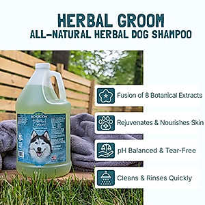 Bio-groom Herbal Groom Shampoo 5 Gallon