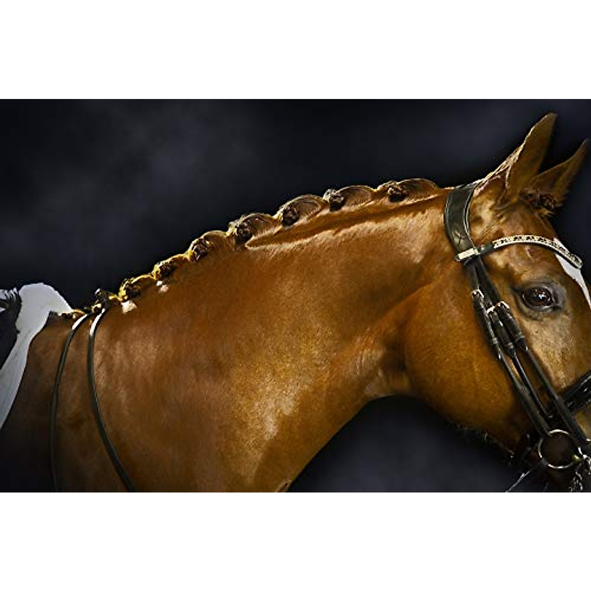 Exhibitor's Quic Braid for Total Mane & Tail Control 16 oz Spray