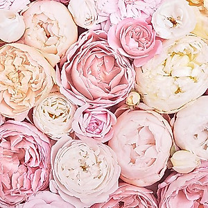 Empire Candle Beach Rose Scented Jar Candle, 12 oz, Burn Time 50 Hours, Home Fragrance, Room Accessories