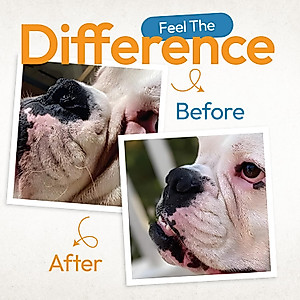 Wrinkle Wipes for Dogs - 100 Count Dog Wrinkle Wipes French Bulldog, English Bulldog, Pugs - 3.15 in Large Bulldog Face Wipes - Cleaning & Soothes on Wrinkles, Folds, Tail Pockets