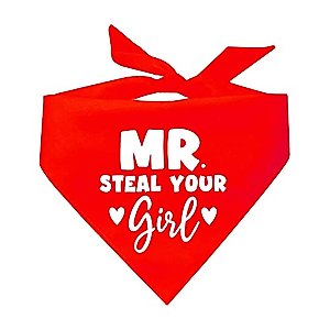 Mr. Steal Your Girl Dog Bandana (Assorted Colors)