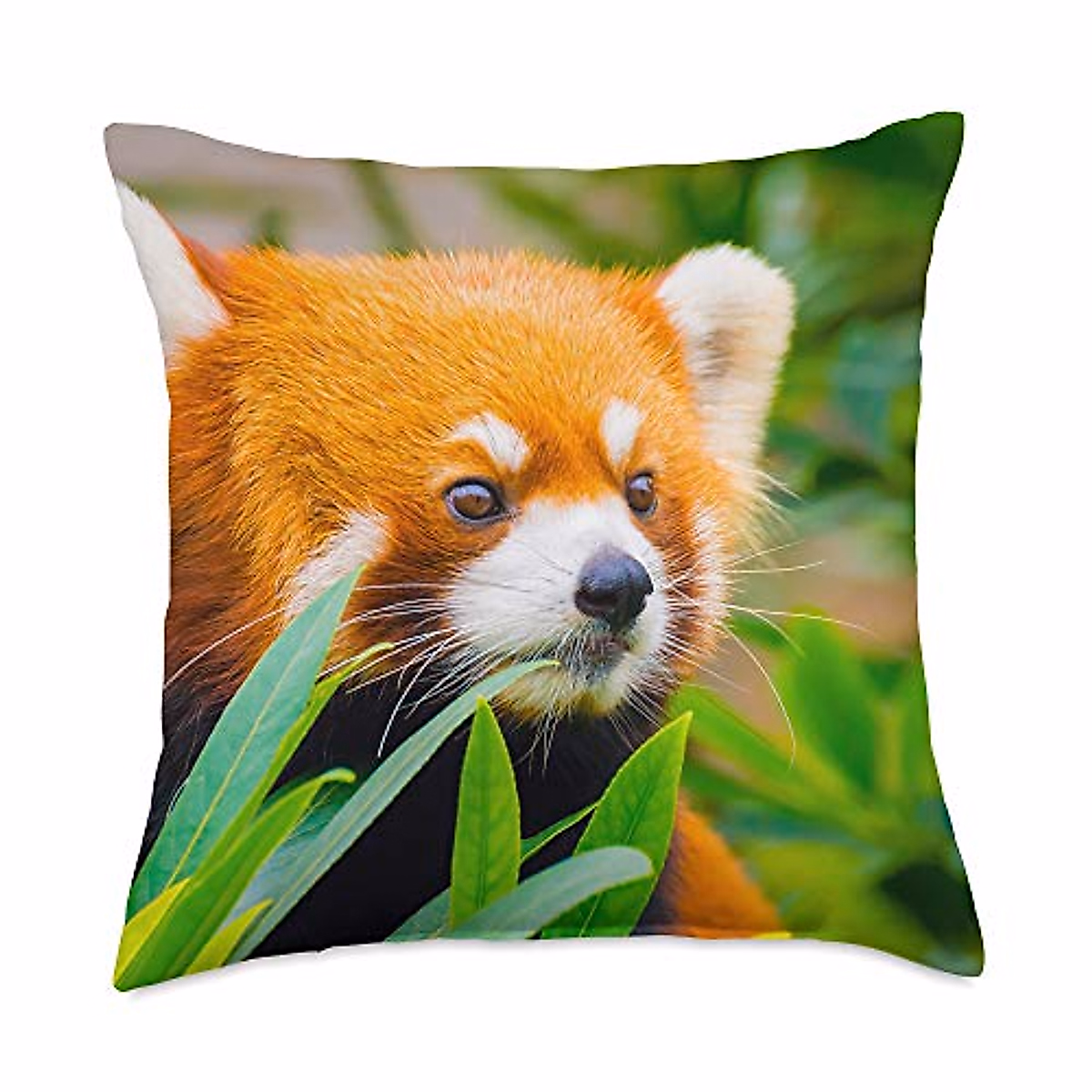 Red Panda Gifts Red Panda Throw Pillow, 18x18, Multicolor