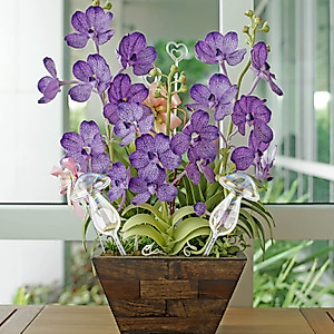 meekoo Plant Watering Globes 10 Pack Iridescent Rainbow Clear Glass Planter Insert Plant Watering Devices for Indoor Outdoor(Mushroom)