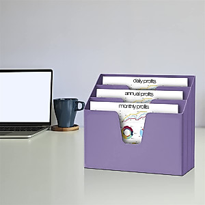 Acrimet Horizontal Triple File Folder Holder Organizer (Purple Color)