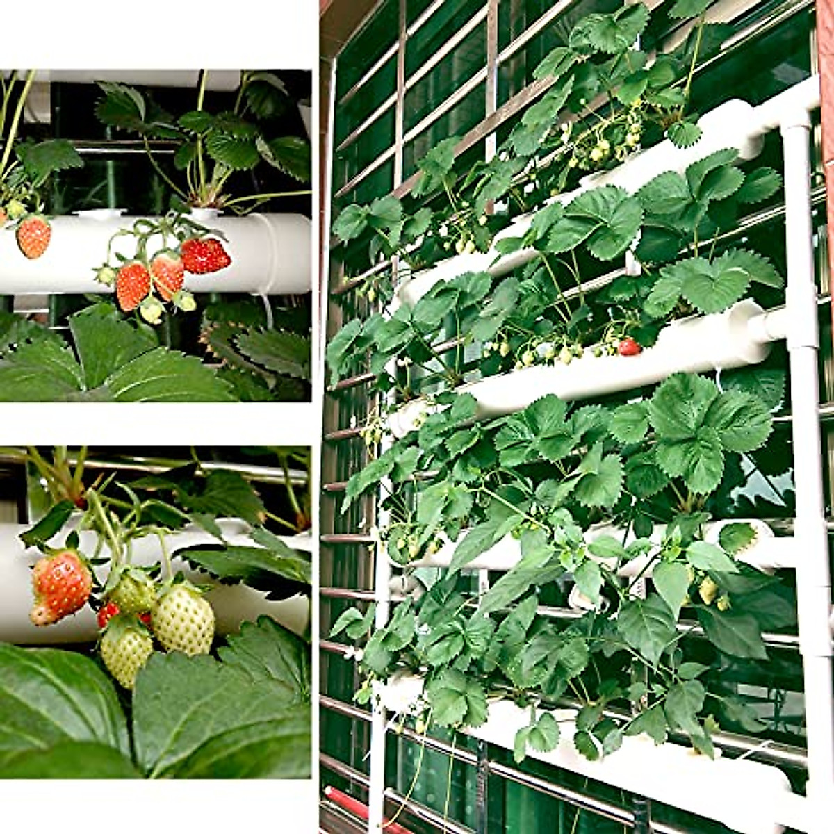 WEPLANT Hydroponic NFT 36 Holes Growing System with Special Fertilizer Timing Cycle, PVC Pipe Garden Plant Kit