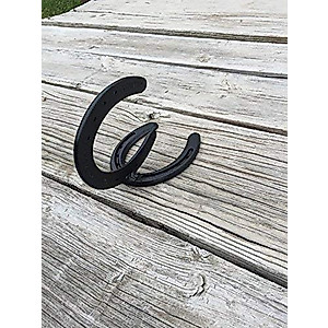 Horseshoe Hook