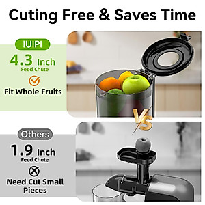Cold Press Juicer, IUIPI Fit Whole Fruit and Vegetable Slow Masticating Juicer Machines, 4.3'' Large Feed Chute, 250W Juice Extractor Machine, High Juice Yield, BPA Free, Easy to Clean with Brush