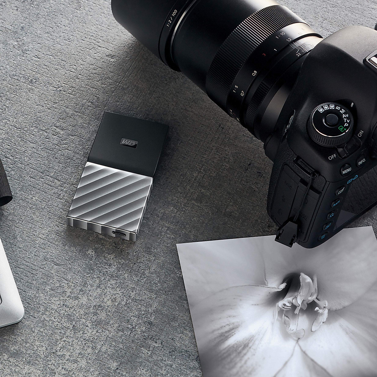 WD 2TB My Passport SSD External Portable Drive, USB 3.1, Up to 540 MB/s - WDBKVX0020PSL-WESN