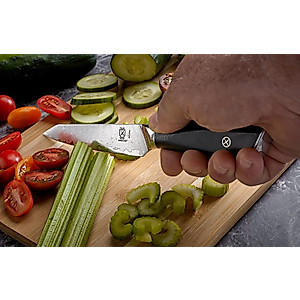 Mercer Culinary M13790 Premium Grade Super Steel, 5-Inch Utility Knife, G10 Handle