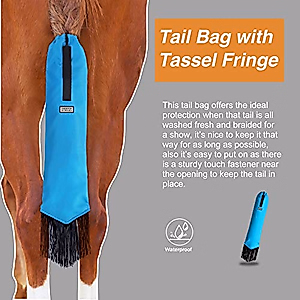 Harrison Howard Horse Tail Bag with Fringe-Azure Blue