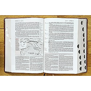 NIV, Life Application Study Bible, Third Edition, Leathersoft, Brown, Red Letter, Thumb Indexed